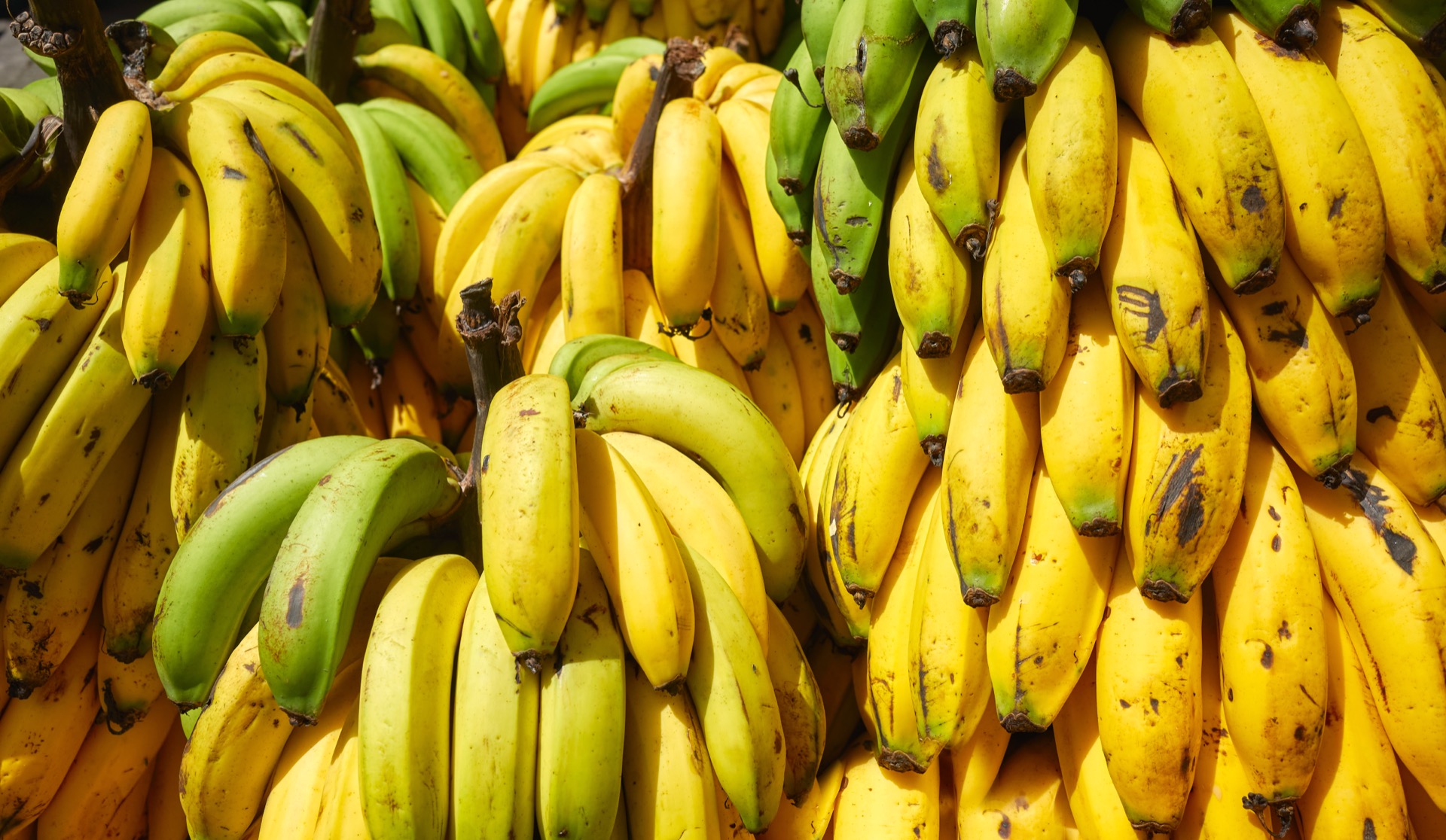 New report on the banana sector offers insight into the role of global ...